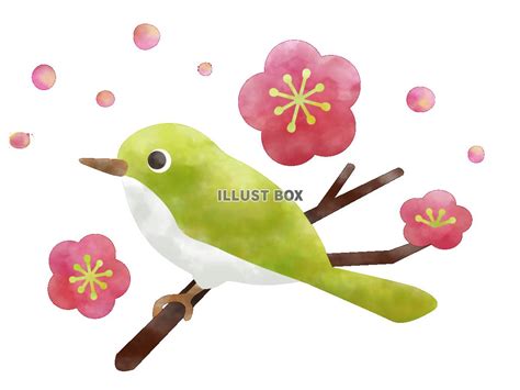 コレクション 鶯 イラスト かわいい 229129 鶯 イラスト かわいい entirelyunwrittenblog
