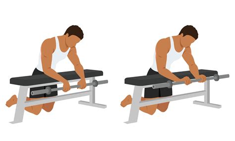 How To Do Forearm Curls The Manual