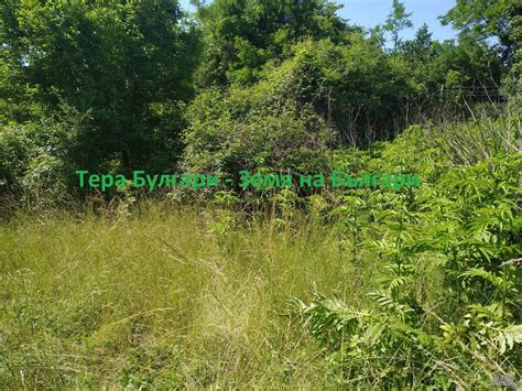 Парцел в село Долни Романци равен панорама Продажба 892 кв м В регулация УПИ С ток Без