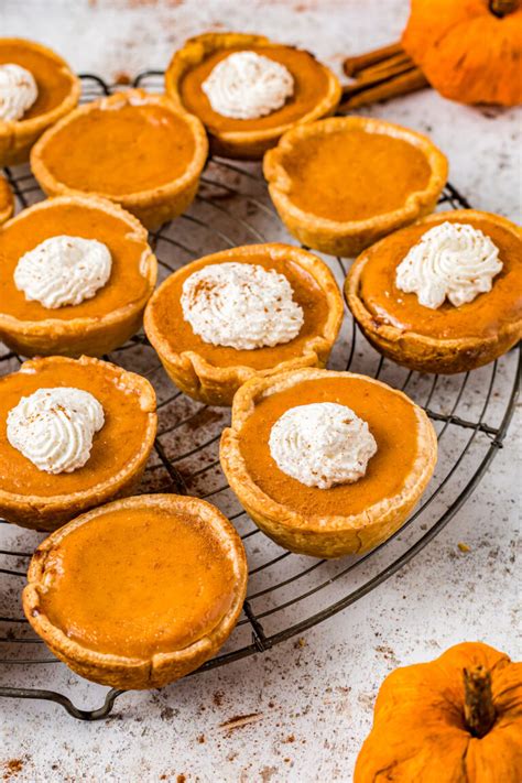 Mini Pumpkin Pies Recipe The Novice Chef