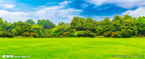 树林摄影图 自然风景 自然景观 摄影图库 昵图网