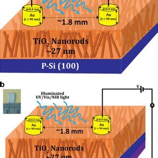 Schematic Illustration Of The Fabricated A Au TiO2 Nanorods P Si Download Scientific Diagram