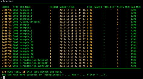 Submitter And Monitor Of The Lsf Cluster • Bsub