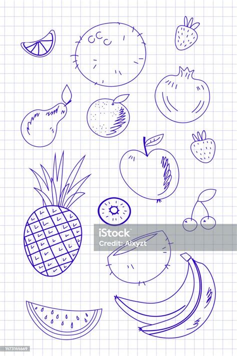 손으로 그린 과일과 열매 세트는 노트북 페이지 배경에 이미지를 설명합니다 낙서 아이콘 벡터 일러스트 레이 션입니다 복고풍 스타일의 디자인 템플릿입니다 Eps 개체 그룹에