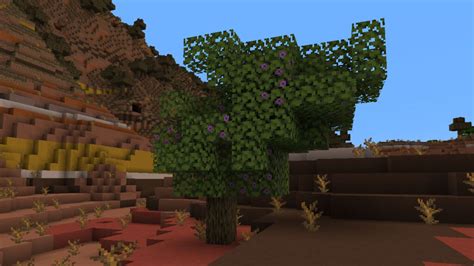 How To Find Lush Caves In Minecraft 1 18 Try Hard Guides