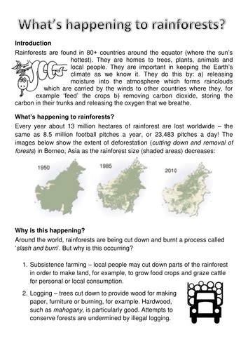 Rainforest Deforestation Worksheet By Arowlandson Teaching Resources