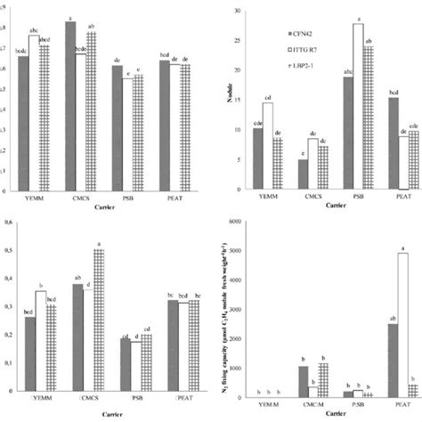 Plant Growth Nodulation And Nitrogen Fixation Of Phaseolus Vulgaris Download Scientific