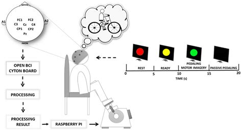 Effect Of A Braincomputer Interface Based On Pedaling Motor Imagery On