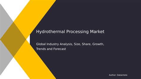 Hydrothermal Processing Market Report Global Forecast From 2025 To 2033