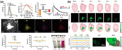 Progress In Nano Biosensors For Non Invasive Monitoring Of Stem Cell