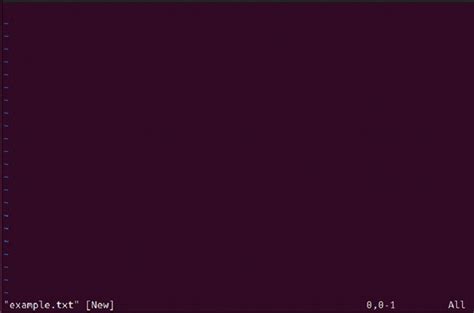Rvim Command In Linux