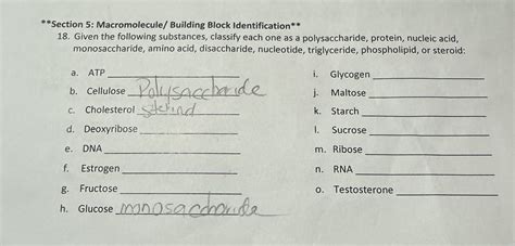 Solved Section 5 Macromolecule Building Block Identification 18