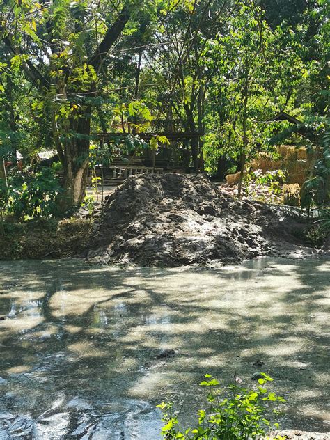 🤝 ภาพบรรยากาศ มหาลัยคอกหมู ศูนย์กสิกรรมธรรมชาติมาบเอื้อง