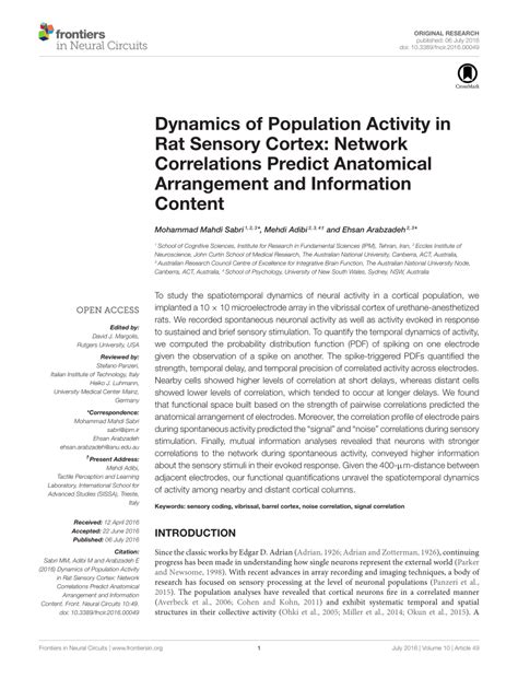 Pdf Dynamics Of Population Activity In Rat Sensory Cortex Network