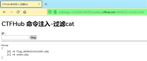 命令注入 过滤cat 《⚔️ctf》 极客文档