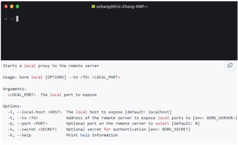 12 Best Ngrok Alternatives For Tunneling Free And Paid