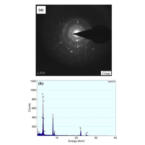 A Sem Image Of The Polymer Having Tetracycline As A Template Molecule Download Scientific