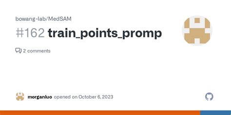 Train Points Prompt Issue Bowang Lab MedSAM GitHub