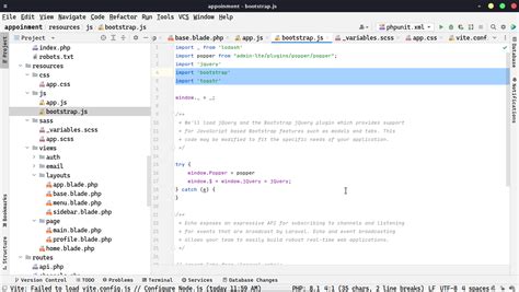 How To Use Externalnpm Libraries With Vite Rlaravel