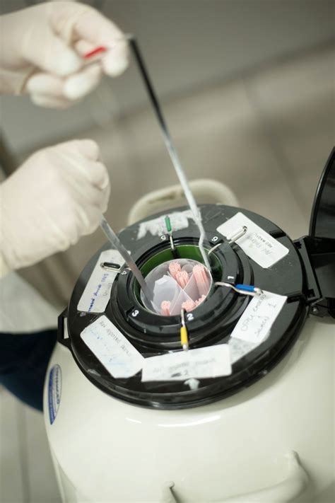 Cryopreservation Absolute Genetics