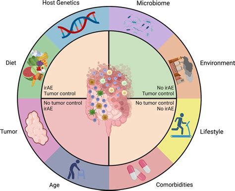Immunomodulatory Stimuli Lead To Alterations In Anti‐tumor Immunity And