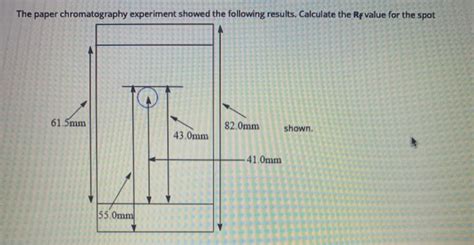 Solved The Paper Chromatography Experiment Showed The