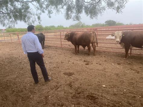 Gobernador Constata Calidad Genética Del Ganado De Coahuila