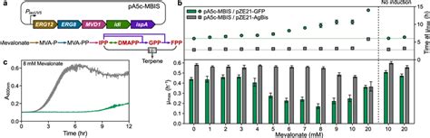 Construction And Optimization Of The Precursor Toxicity Based Download Scientific Diagram