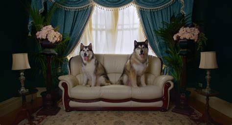 Anz Plus Draws On Confident Money Management Via Special