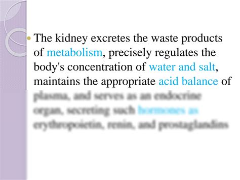 Solution Pathology Of Glomerular Diseases And Clinical Presentation Of