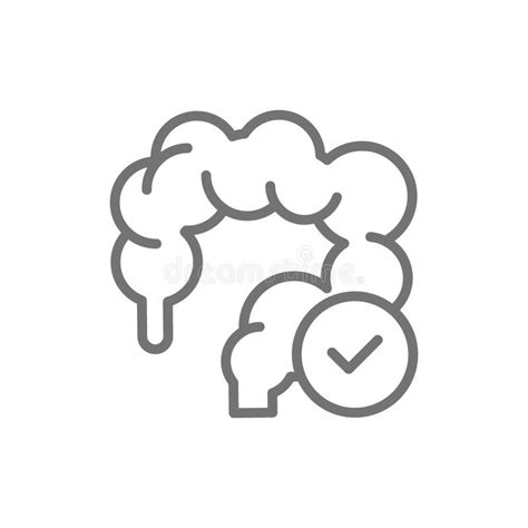 Healthy Intestines Colon Line Icon Isolated On White Background Stock Vector Illustration Of