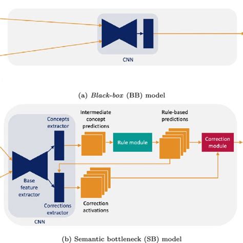 Flowchart Of The Forest Mapping Methods Download Scientific Diagram