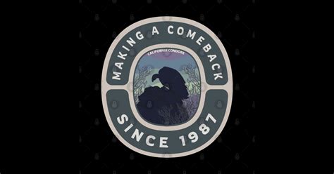California Condor Coming Back Since 1987 California Condor Sticker