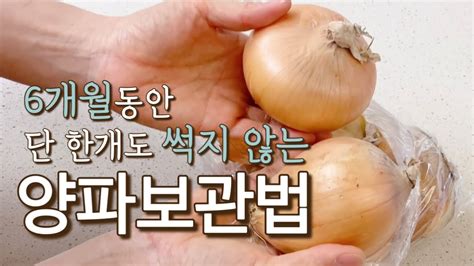 6개월도 가능한 양파 보관법 한 개도 썩지 않는 소분 꿀팁 Youtube