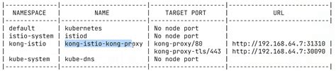 Getting Started With Kong Istio Gateway Kong Inc