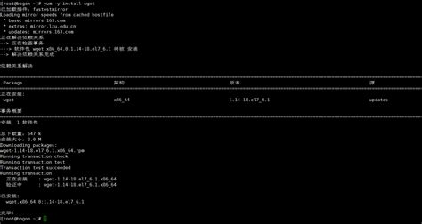 yum install wget pikolspot