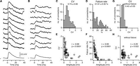 Reliability Of Excitatory Monosynaptic Connections In Vivo Download Scientific Diagram