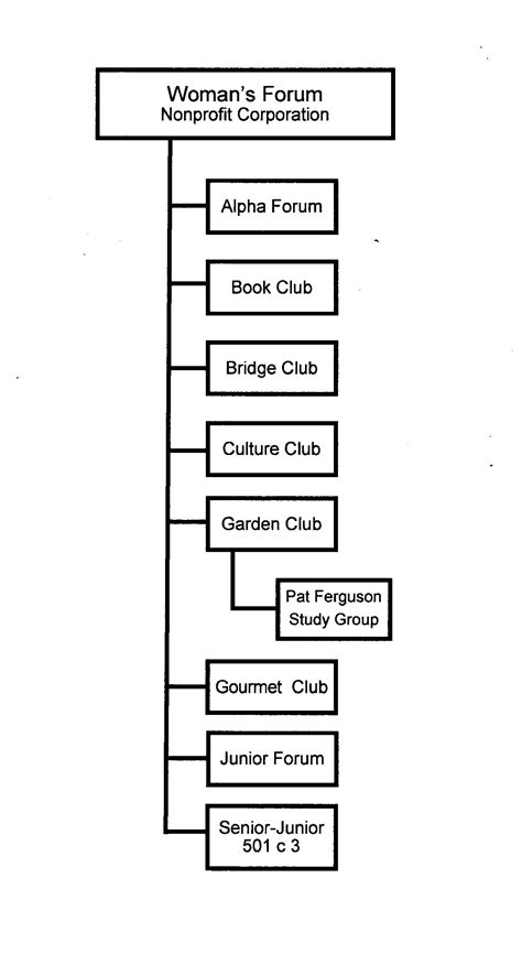Organizational Chart The Woman S Forum