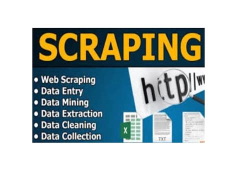 Do Perfect Data Entry And Data Scrapping By Javeria 999 Fiverr