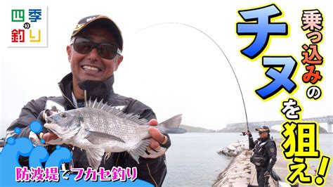 防波堤でフカセ釣り 乗っ込みのチヌを狙え！（四季の釣り2024年5月10日放送） Youtube