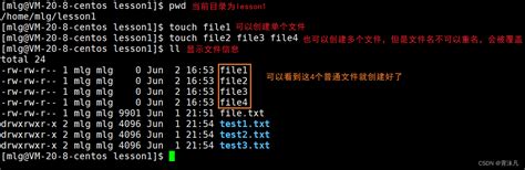 Linux初识 —— 基本指令的使用linux Whitch Csdn博客 Linux初识 —— 基本指令的使用linux Whitch Csdn博客