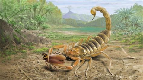 Rare 125 Million Year Old Venomous Scorpion Fossil Found In China