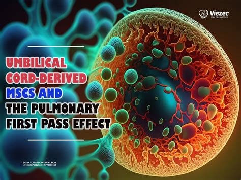 Umbilical Cord Derived Mscs And The Pulmonary First Pass Effect