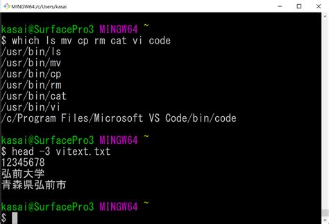 Git Bash（ターミナル） Heroic 2021