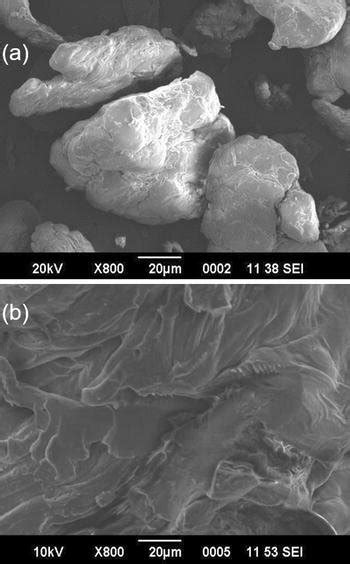 Scanning Electron Micrographs Of A Hpmc And B Hpmc G Pam 10 Download Scientific Diagram