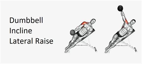 Dumbbell Incline Lateral Raise Save Dollar