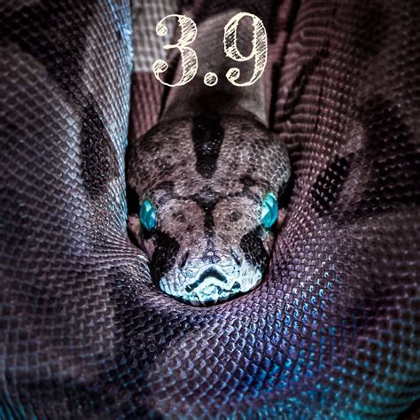 Whats New In Python 39 New Features