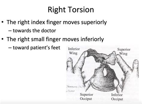Dsa13 Cranial Osteopathy Strain Pattern Diagnosis Flashcards Quizlet