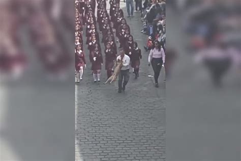 狗子哦哈呦学妹们