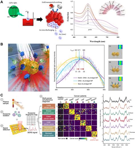 Nanoplasmonic Biosensors For Precision Medicine Pmc